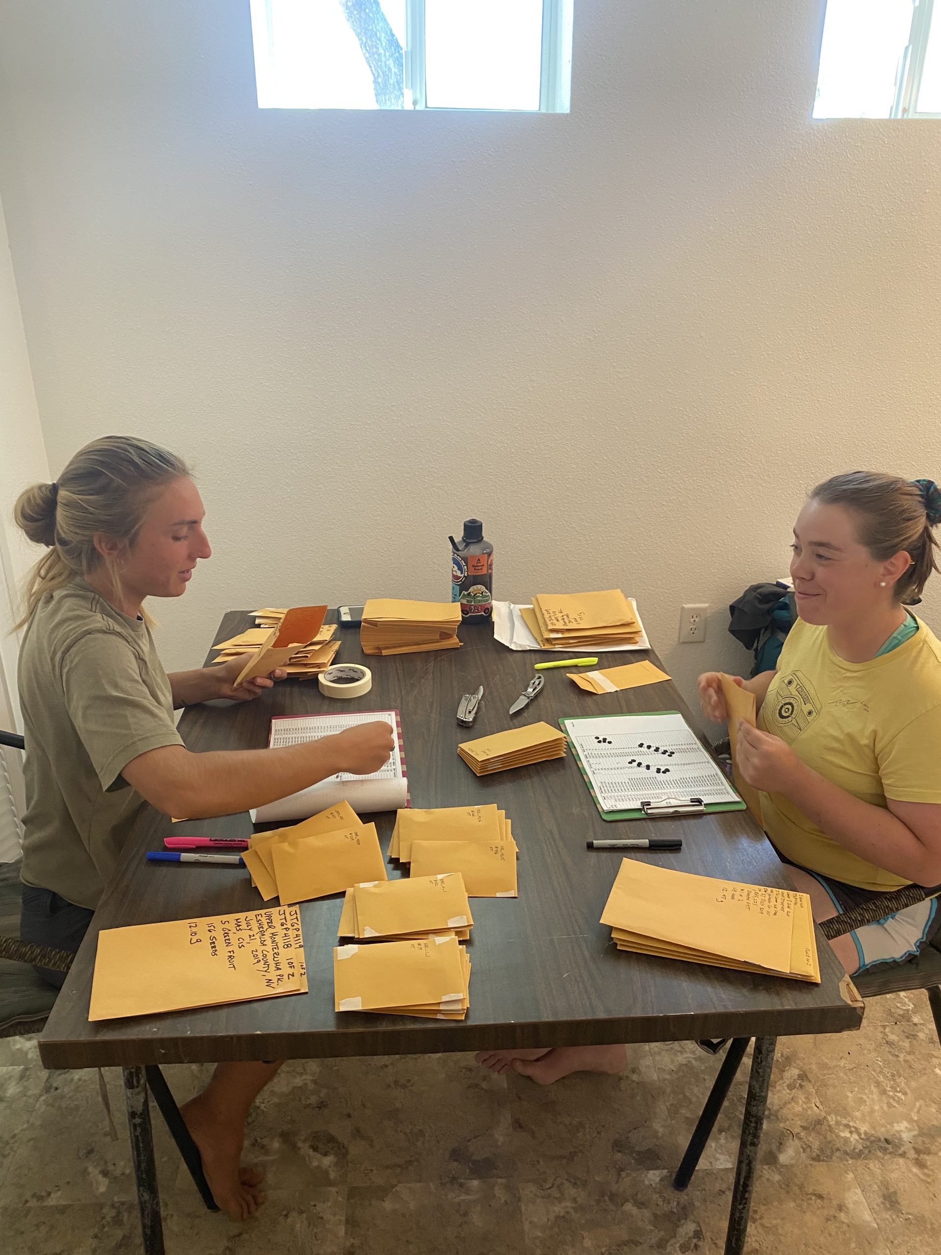 Gathering the seeds of new science – The Joshua Tree Genome Project